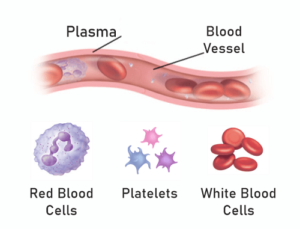 Vijue Vyakula Vinavyoongeza Kiwango Cha Damu Mwilini Kwa Haraka.
