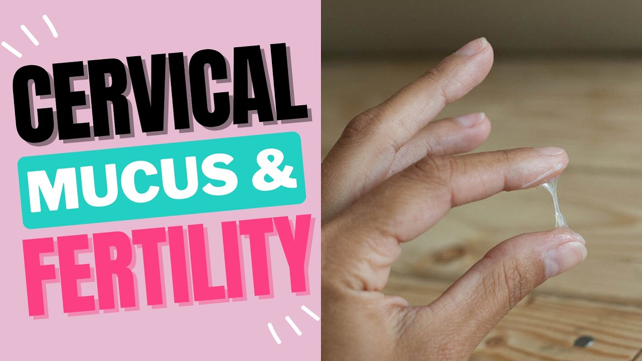 Aina Za Ute Ukeni Na Maana Zake.